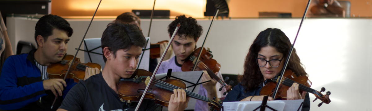 Música Instrumentista Ejecutante – Universidad de las Artes